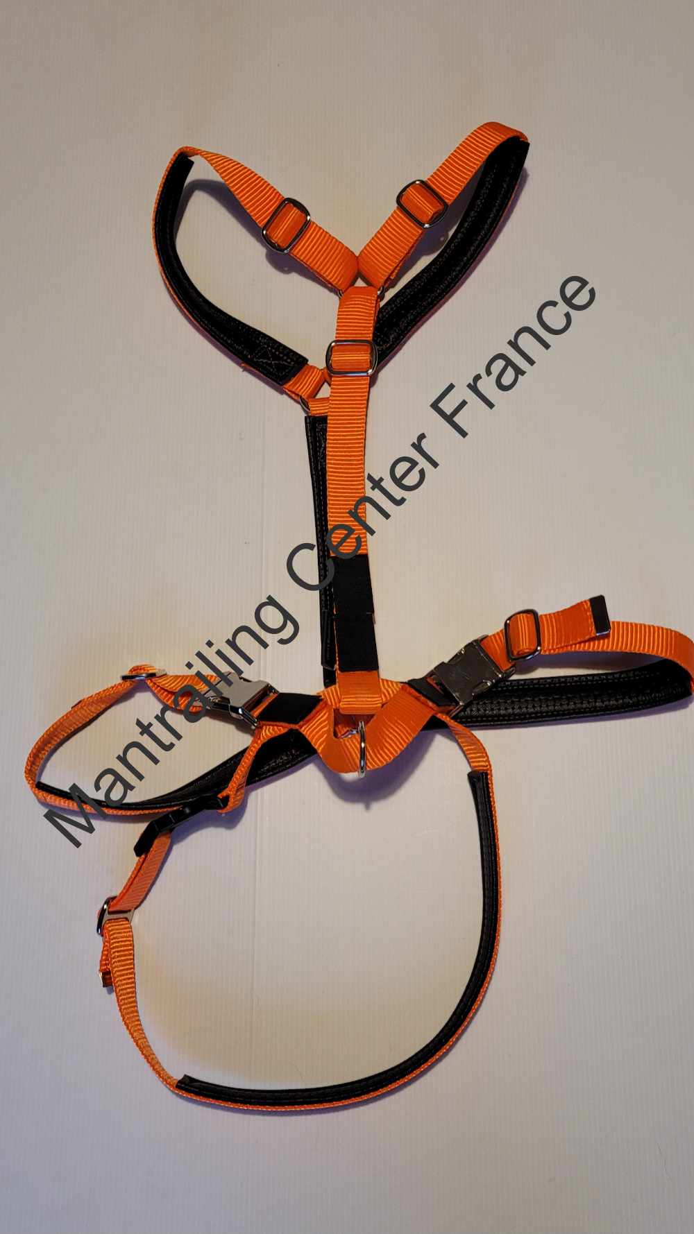 En boutique – Mantrailing Center France